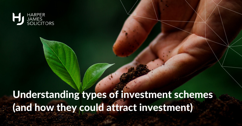 Everything you need to know about investment schemes | Types of investment